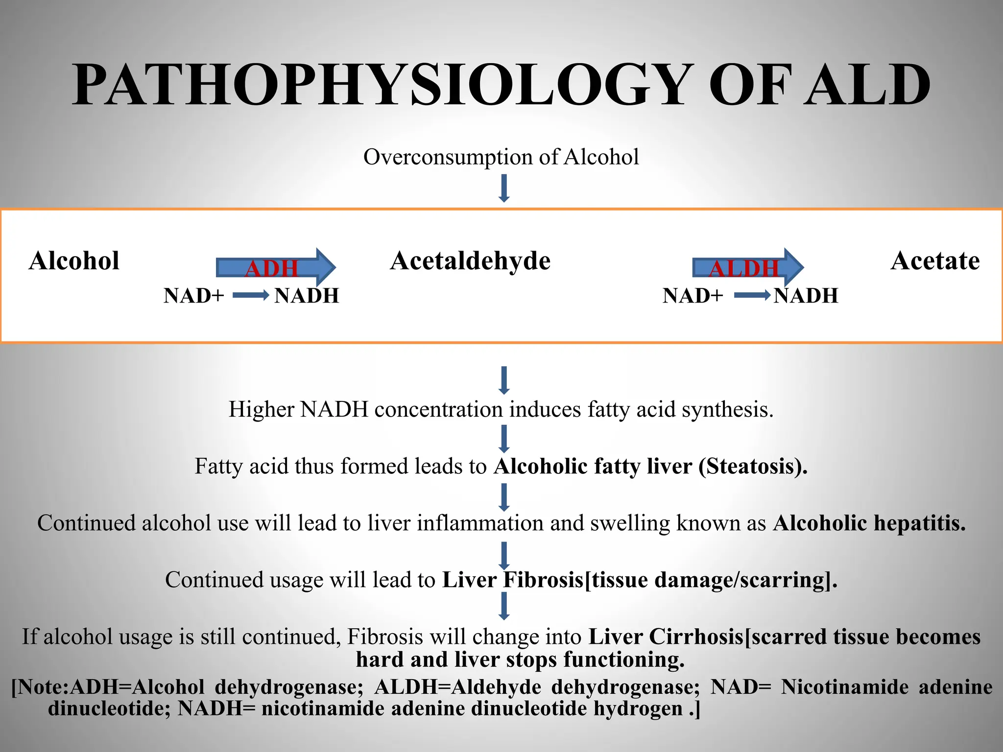Pathophysiology of Alcoholic Liver Disease.pptx