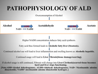 Pathophysiology of Alcoholic Liver Disease.pptx | Digestive Disorders ...