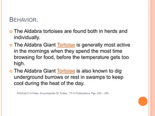 Aldabra giant tortoise | PPTX | Reptiles | Pets