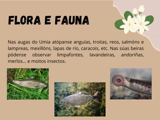 O Río Umia, a inspiración desde a paisaxe | PDF