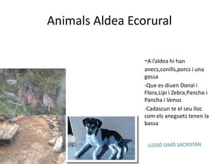 Aldea ecorural | PPTX