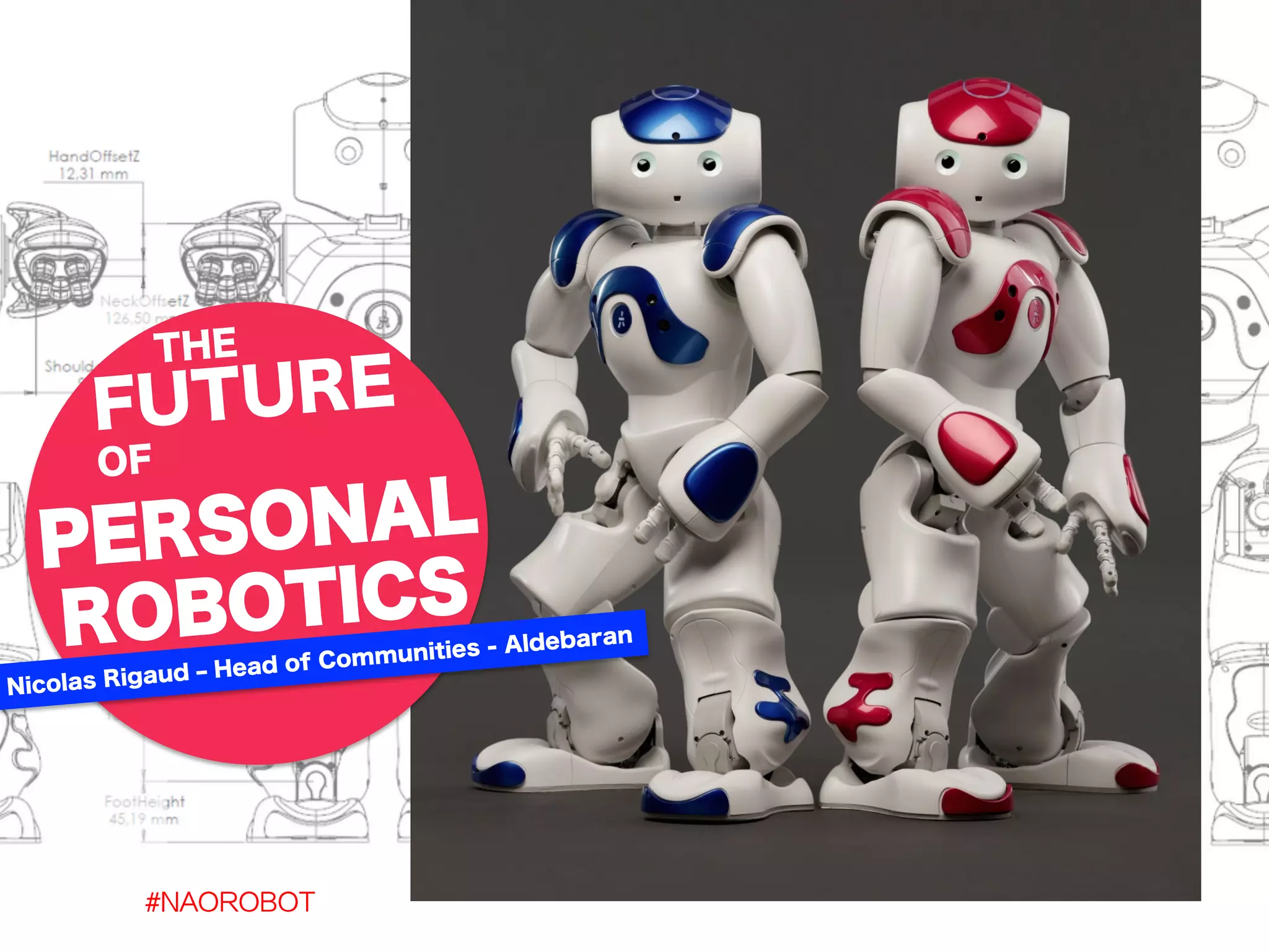 The Future of Personal Robotics - 2015 - Nicolas Rigaud | PDF