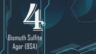 identifikasi bakteri salmonella dan metodenya | PPTX