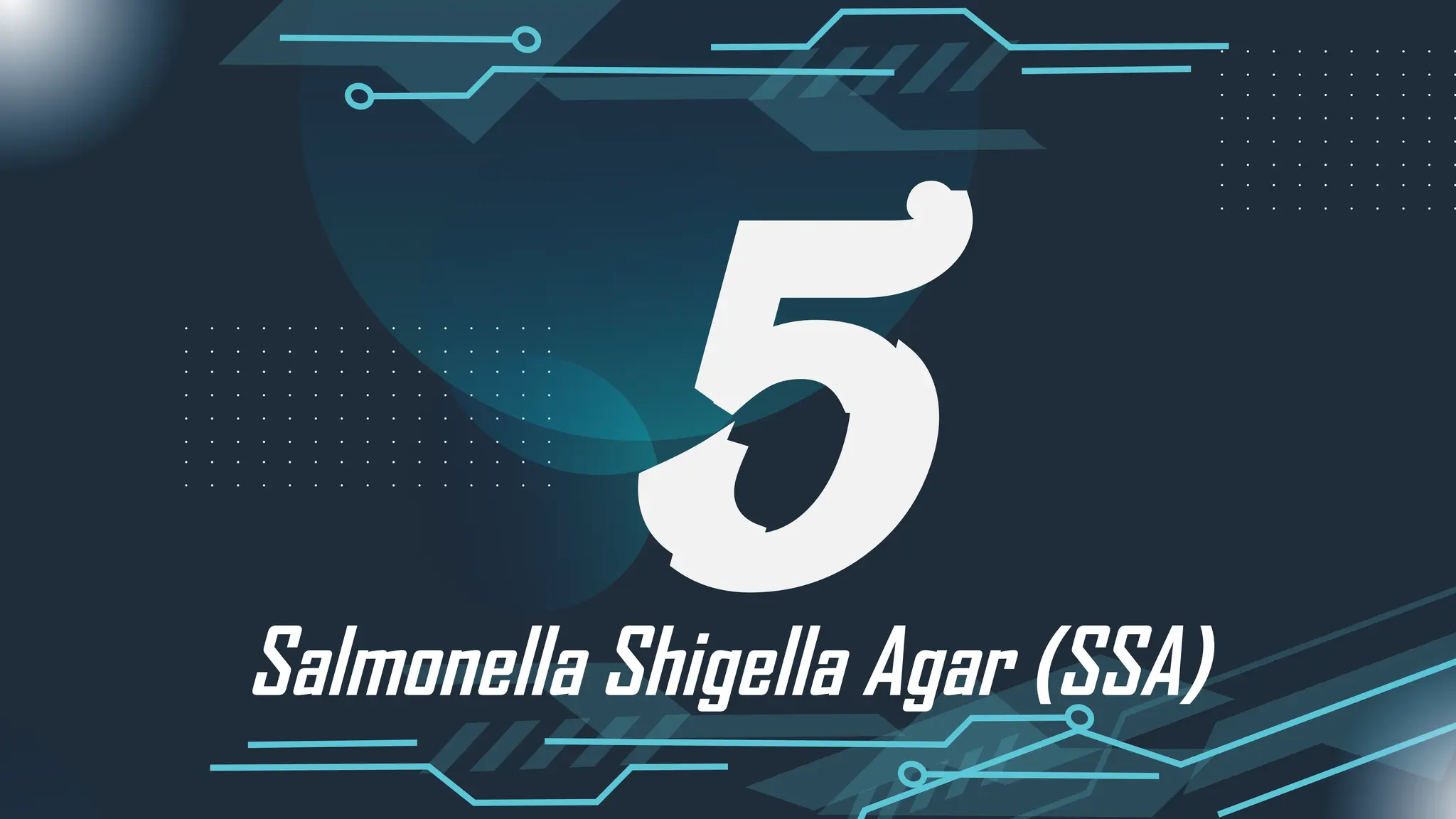 identifikasi bakteri salmonella dan metode pemeriksaaanya | PPTX