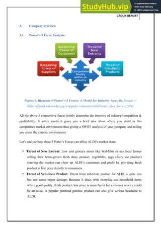 Aldi Final Report | PDF