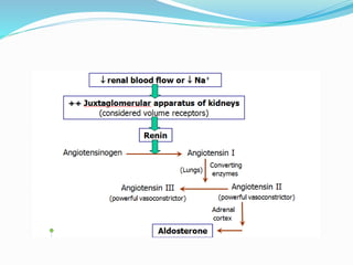 Aldosterone | PPTX