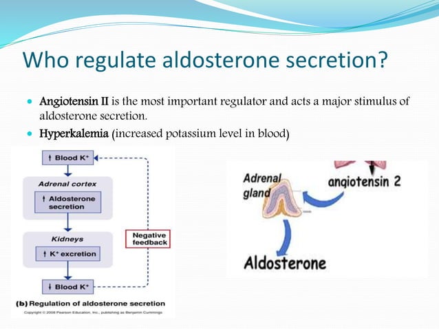 Aldosterone | PPTX