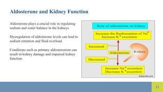 Aldosterone Biochemistry BY TASAWAR MARJAN PHARMD | PPTX