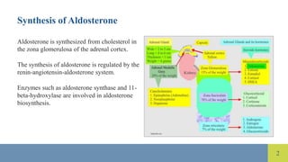 Aldosterone Biochemistry BY TASAWAR MARJAN PHARMD | PPTX