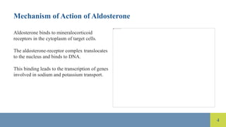 Aldosterone Biochemistry BY TASAWAR MARJAN PHARMD | PPTX
