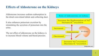 Aldosterone Biochemistry BY TASAWAR MARJAN PHARMD | PPTX