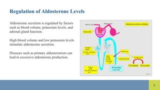 Aldosterone Biochemistry BY TASAWAR MARJAN PHARMD | PPTX