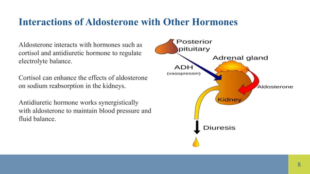 Aldosterone Biochemistry BY TASAWAR MARJAN PHARMD | PPTX