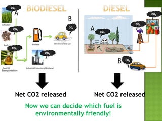Biodiesel Life Cycel Assessment (LCA) | PDF