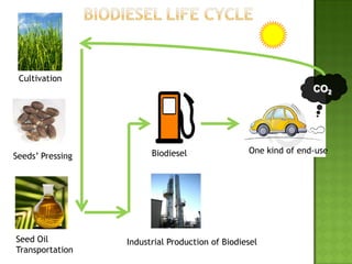 Biodiesel Life Cycel Assessment (LCA) | PDF