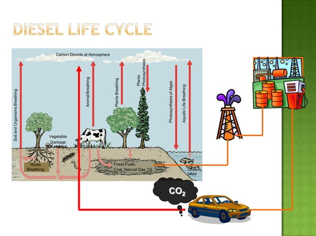 Biodiesel Life Cycel Assessment (LCA) | PDF | Agriculture | Industries