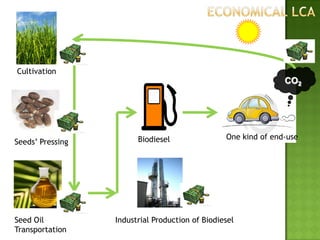 Biodiesel Life Cycel Assessment (LCA) | PDF