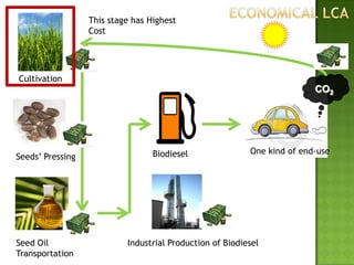 Biodiesel Life Cycel Assessment (LCA) | PDF