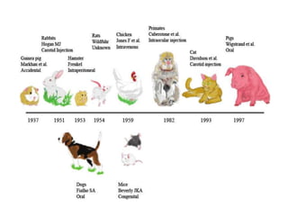 ANIMAL STUDIES | PPTX