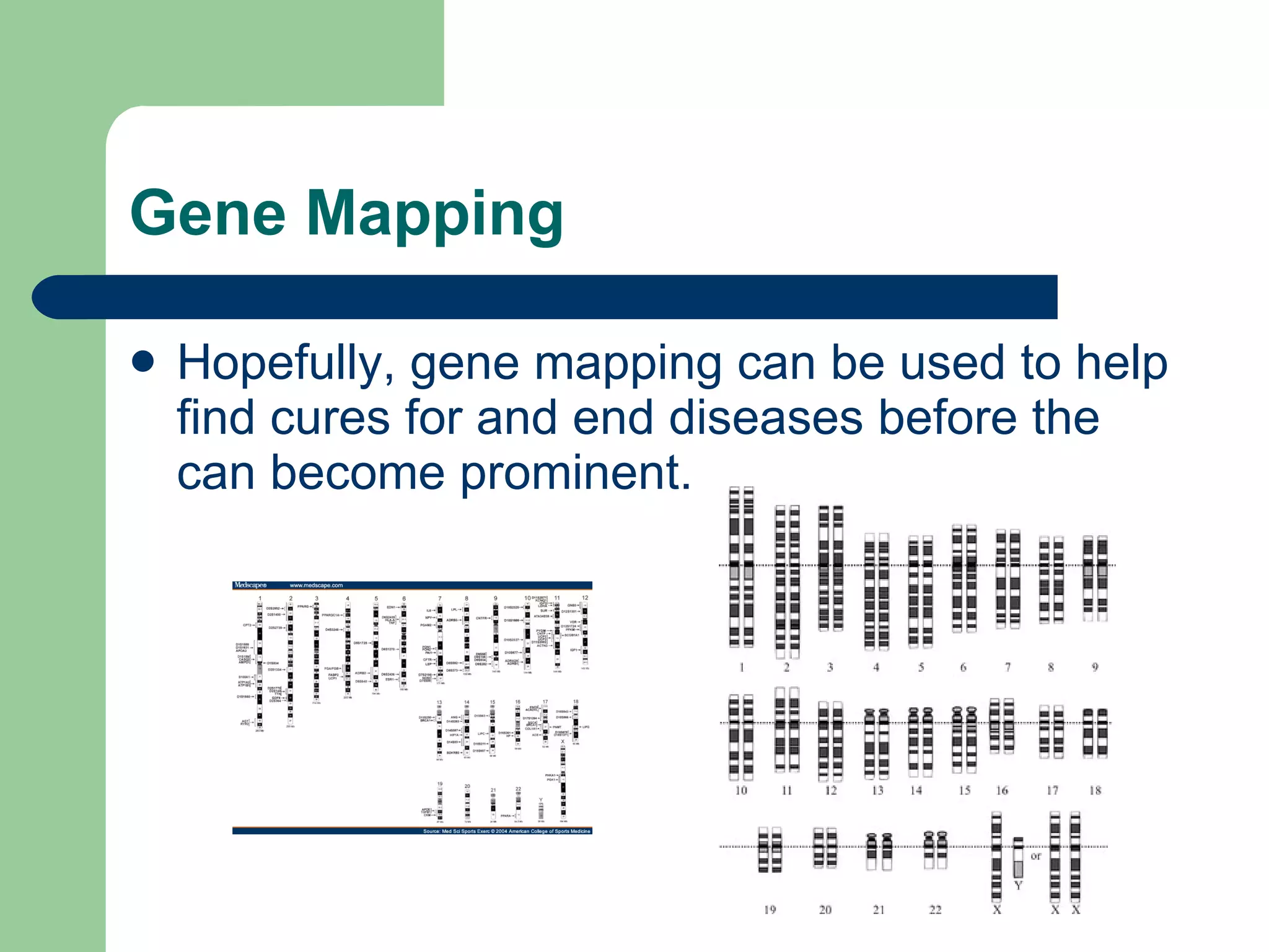 Alec wood genemapping | PPT