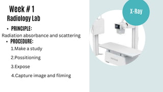 Aleena Internship presentation.pptx