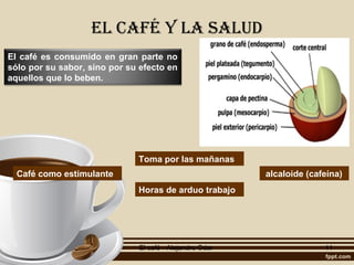 Alejandro café - PRESENTACIÓN DE CALIDAD | PPT