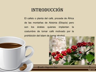 Alejandro café - PRESENTACIÓN DE CALIDAD | PPT