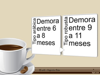 Alejandro café - PRESENTACIÓN DE CALIDAD | PPT