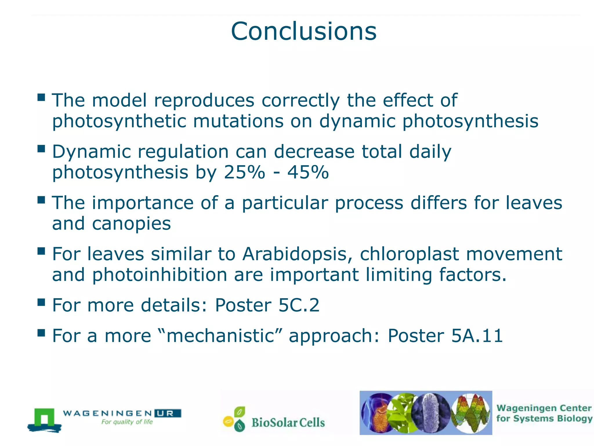 Modelling C3 photosynthesis under fluctuating light conditions at the ...