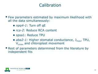 Modelling C3 photosynthesis under fluctuating light conditions at the ...