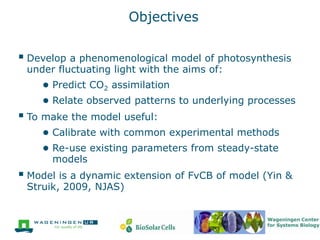 Modelling C3 photosynthesis under fluctuating light conditions at the ...
