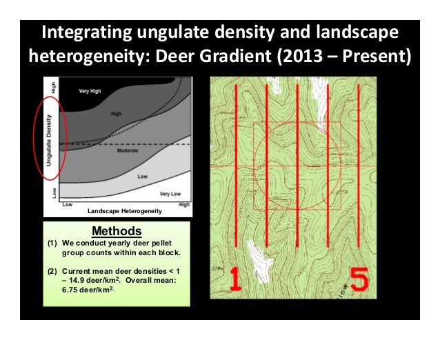 Multi-Scale Effects of Landscape Heterogeneity and Forest Management