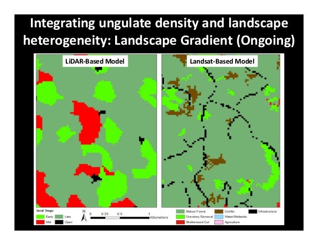 Multi-Scale Effects of Landscape Heterogeneity and Forest Management