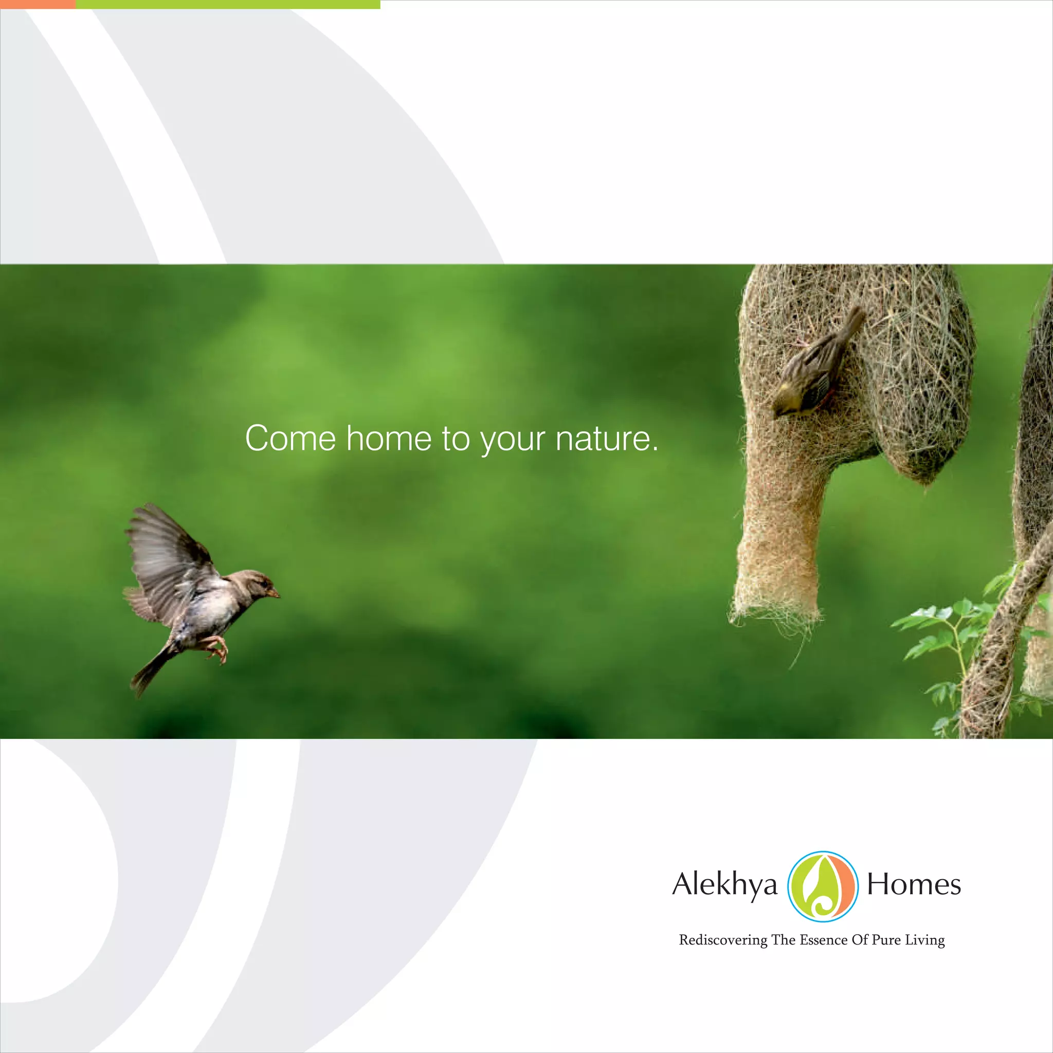 Alekhya homes profile | PDF