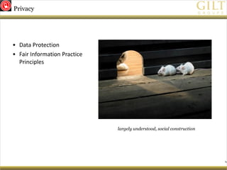 Privacy and E-Commerce | PPT