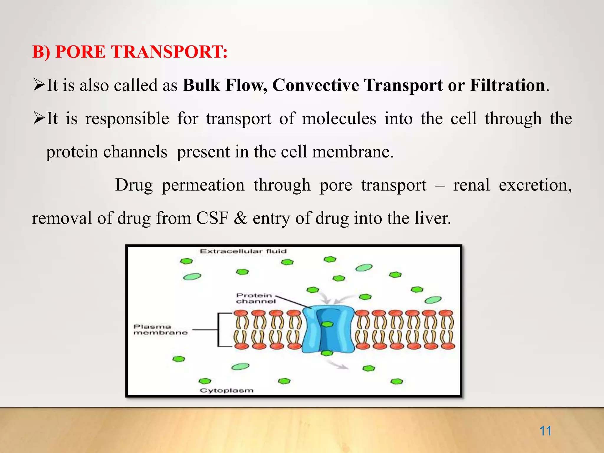 mechanism of drug absorbtion | PPT