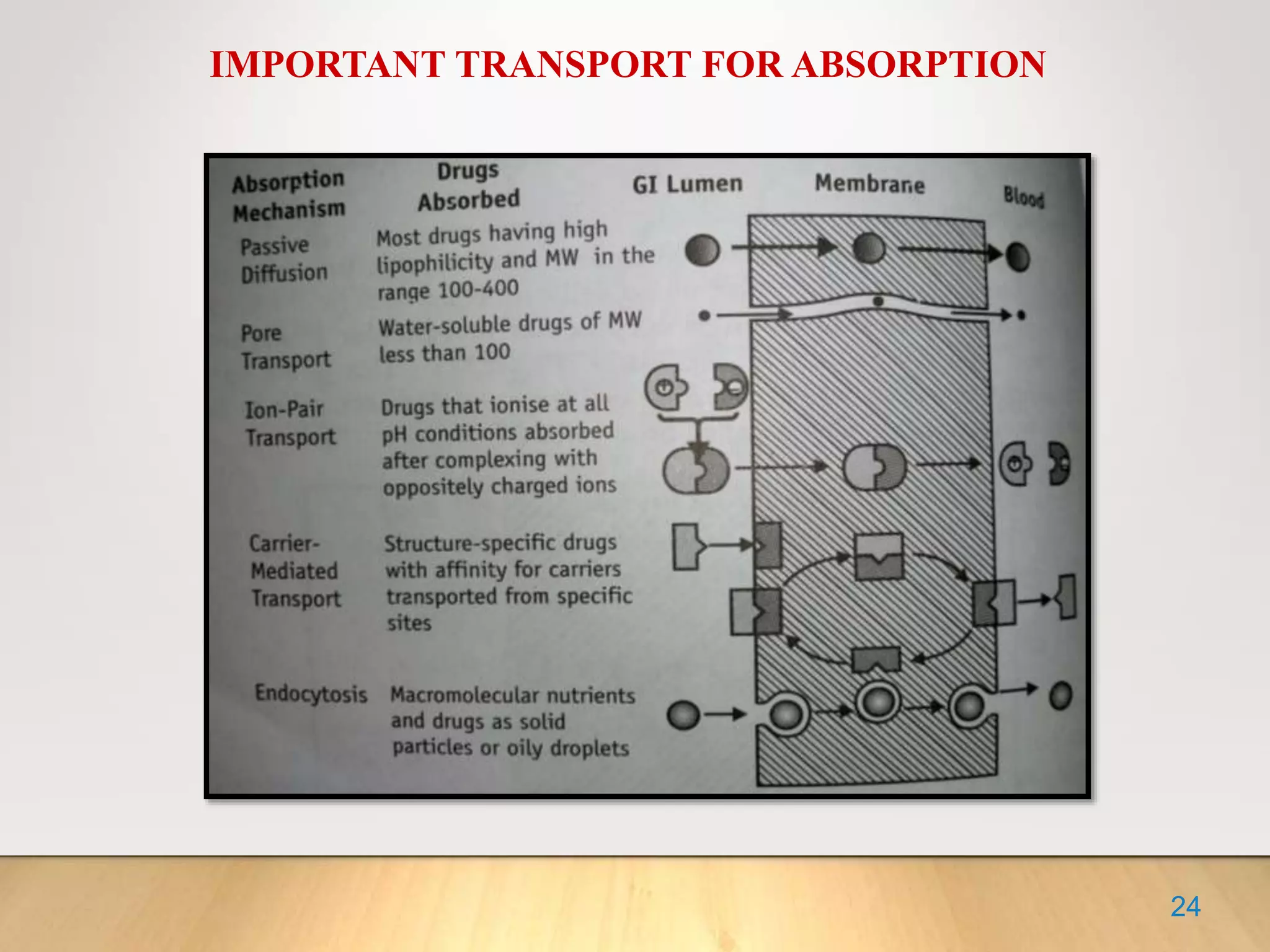 mechanism of drug absorbtion | PPT