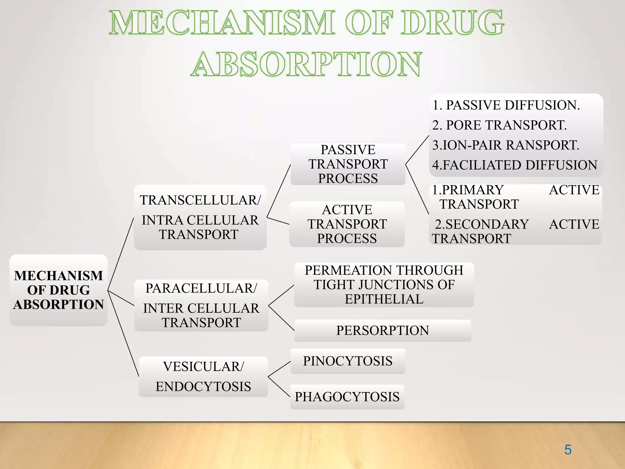 mechanism of drug absorbtion | PPT