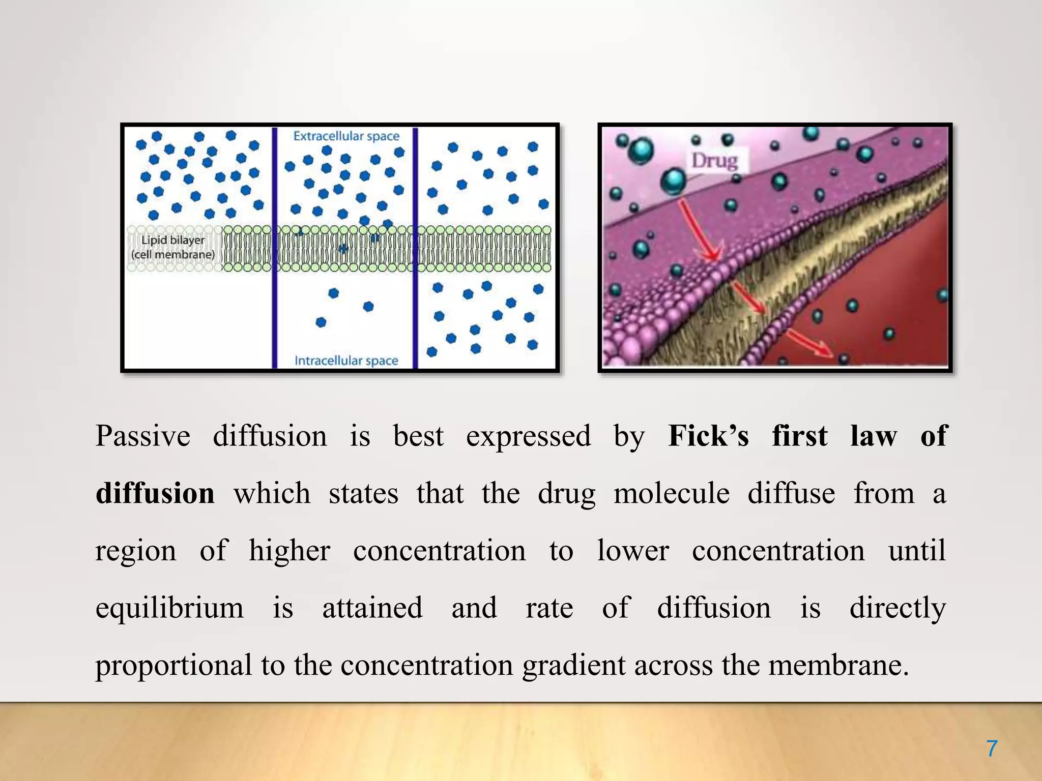 mechanism of drug absorbtion | PPT