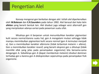 Alel - Biologi | PPTX