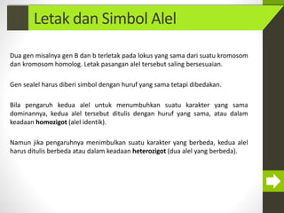 Alel - Biologi | PPTX
