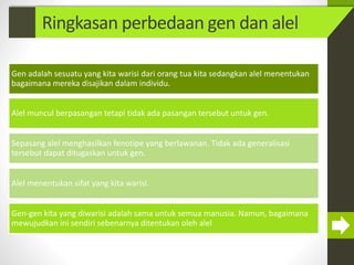 Alel - Biologi | PPTX
