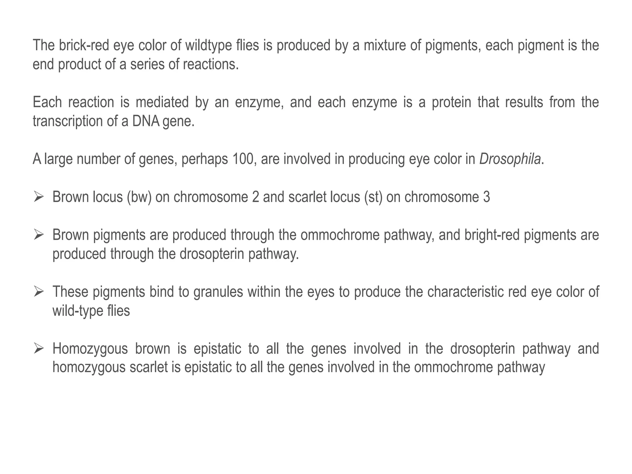 Allelic and non allelic interactions & Drosophila mutants.pptx