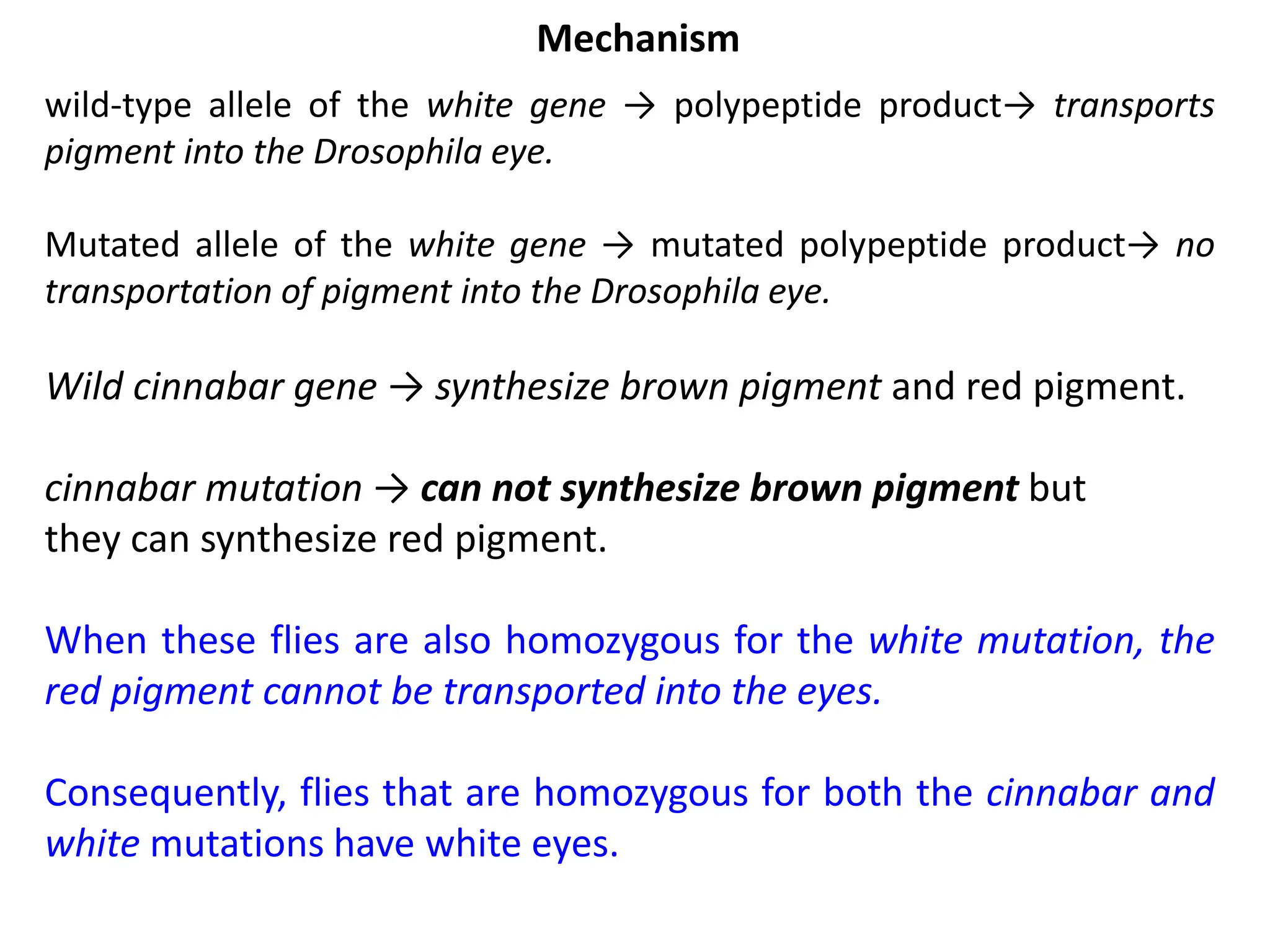 Allelic and non allelic interactions & Drosophila mutants.pptx
