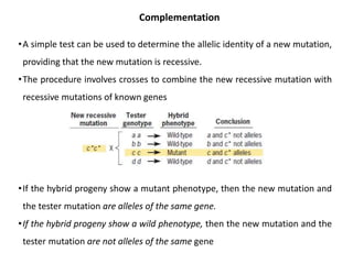 Allelic and non allelic interactions & Drosophila mutants.pptx