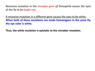 Allelic and non allelic interactions & Drosophila mutants.pptx