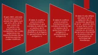 Alelos múltiples y grupo ABO | PPTX