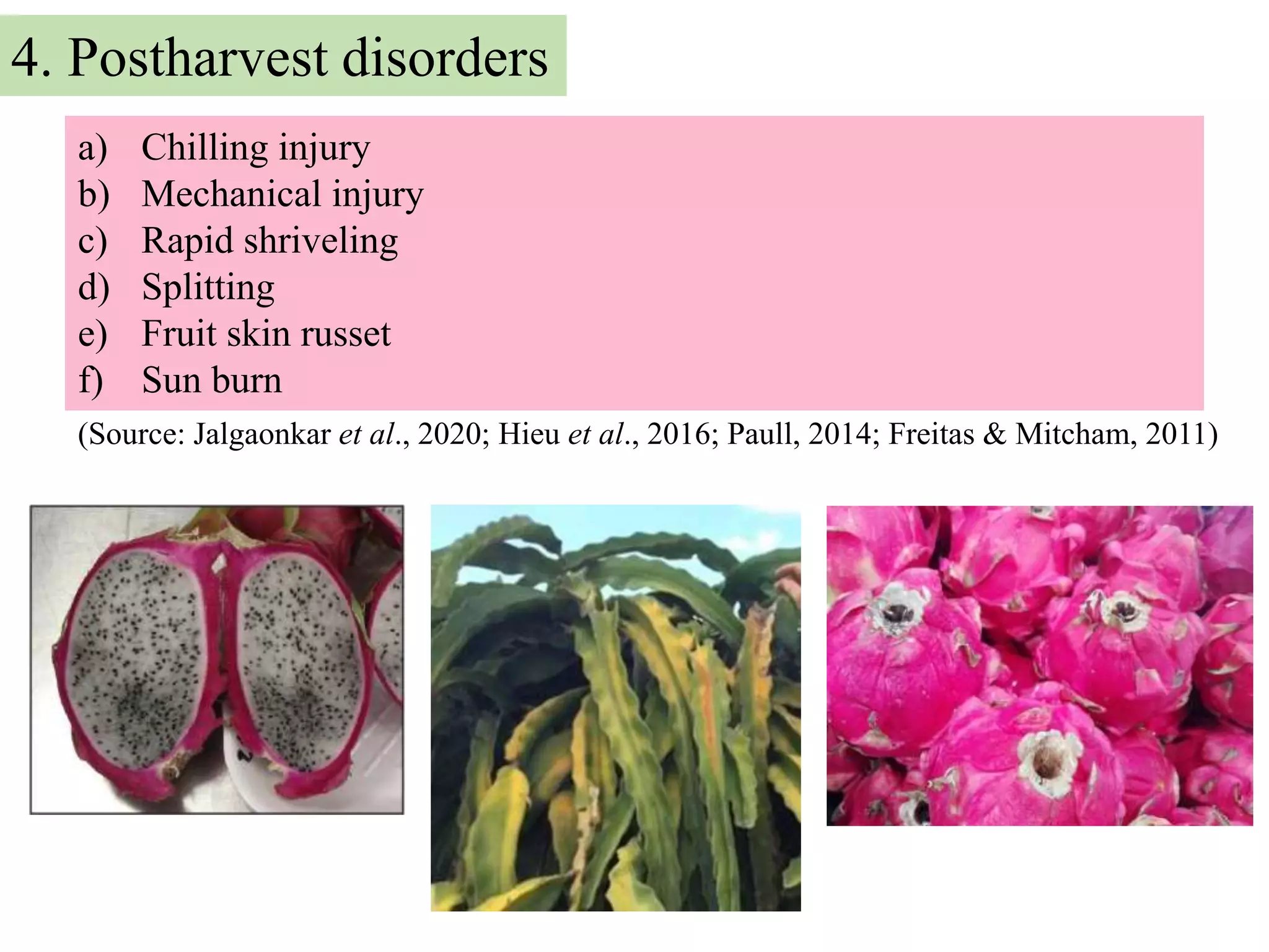 Post- Harvest Management, Value Addition and Marketing of Dragon Fruit.pptx
