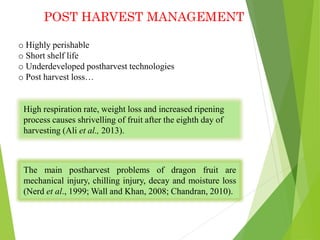 Post- Harvest Management, Value Addition and Marketing of Dragon Fruit.pptx