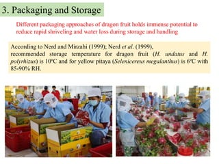 Post- Harvest Management, Value Addition and Marketing of Dragon Fruit.pptx